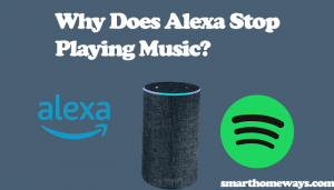 How To Stop Alexa From Announcing your Connection(Try This FIRST)