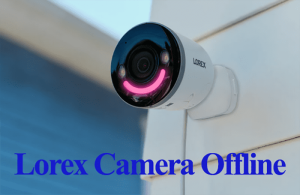 Geeni Camera Offline - (Complete Guide To Fix It)