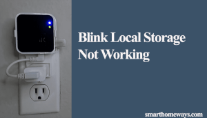 Blink Local Storage With or Without a Subscription - (Explained!)